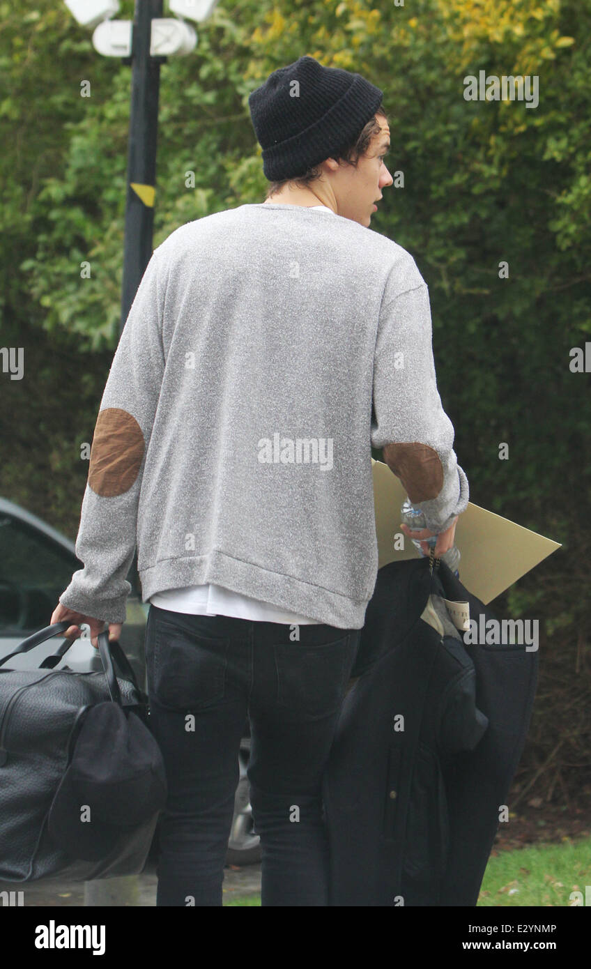 Harry Styles Back