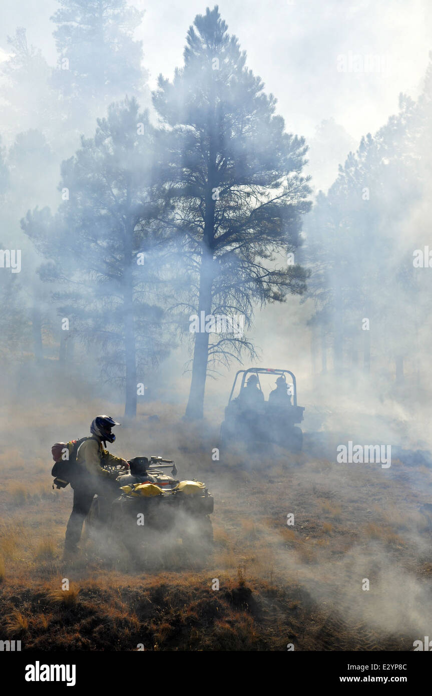 Firefighters monitor prescribed burn Stock Photo - Alamy
