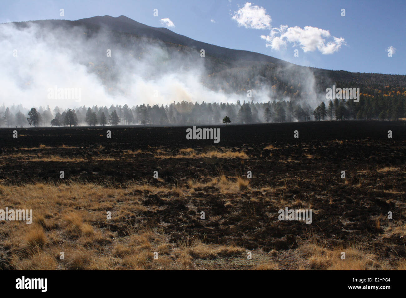 Potatofire hi-res stock photography and images - Alamy