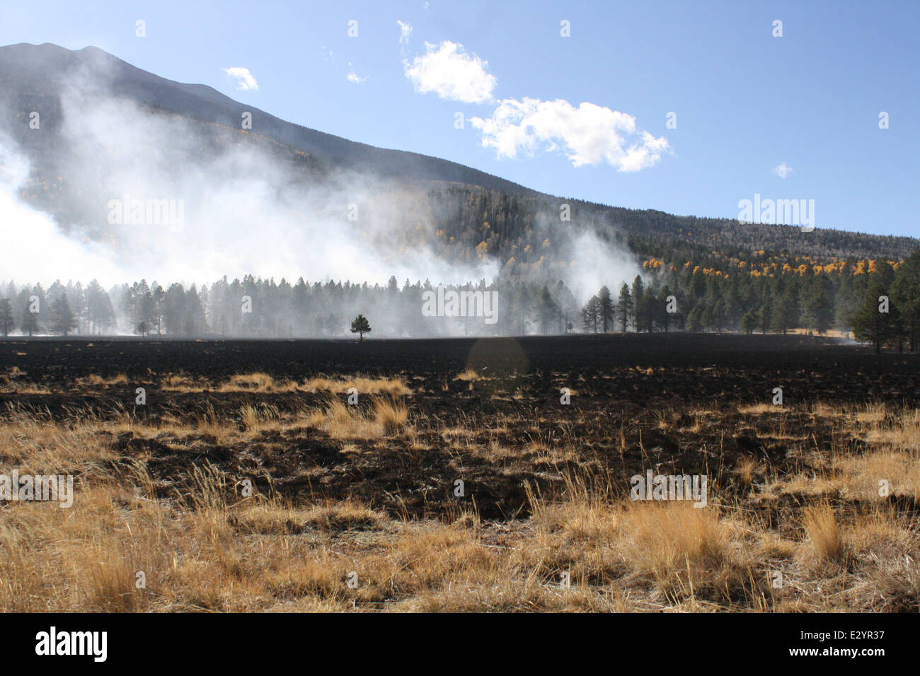 Potatofire hi-res stock photography and images - Alamy