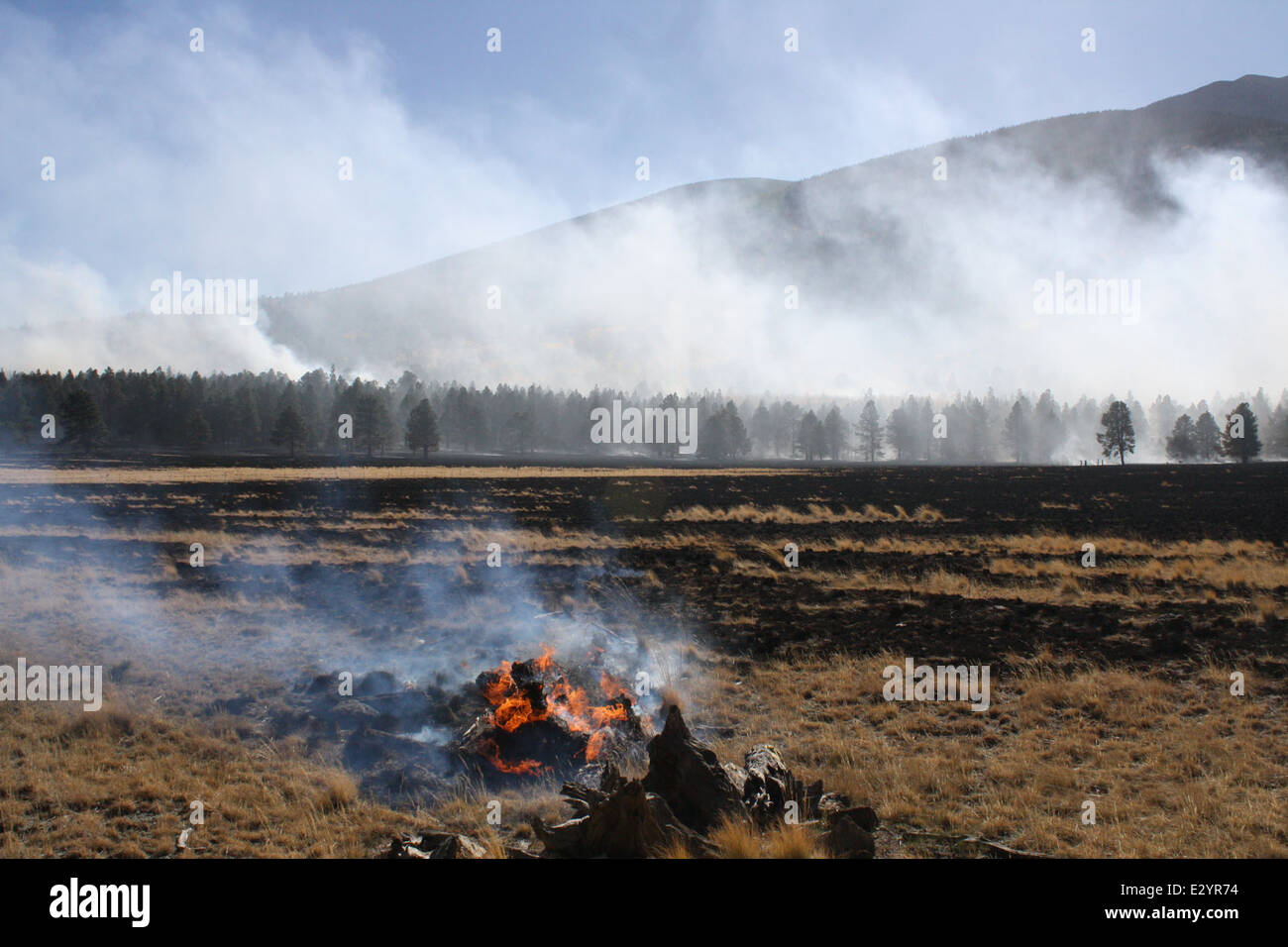 The Potato Fire in Coconino National Forest was a significant wildfire ...
