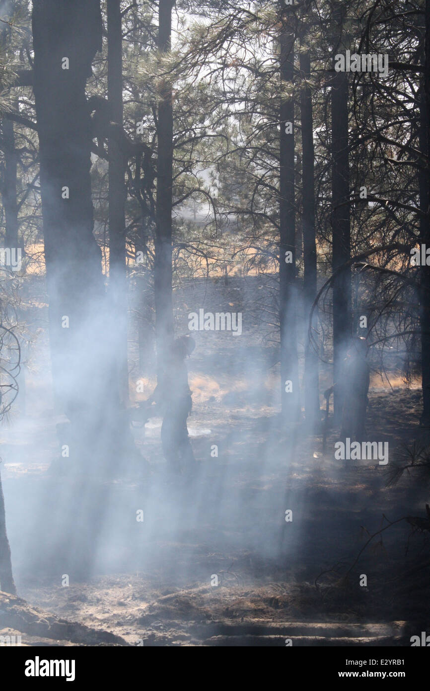 Potatofire hi-res stock photography and images - Alamy