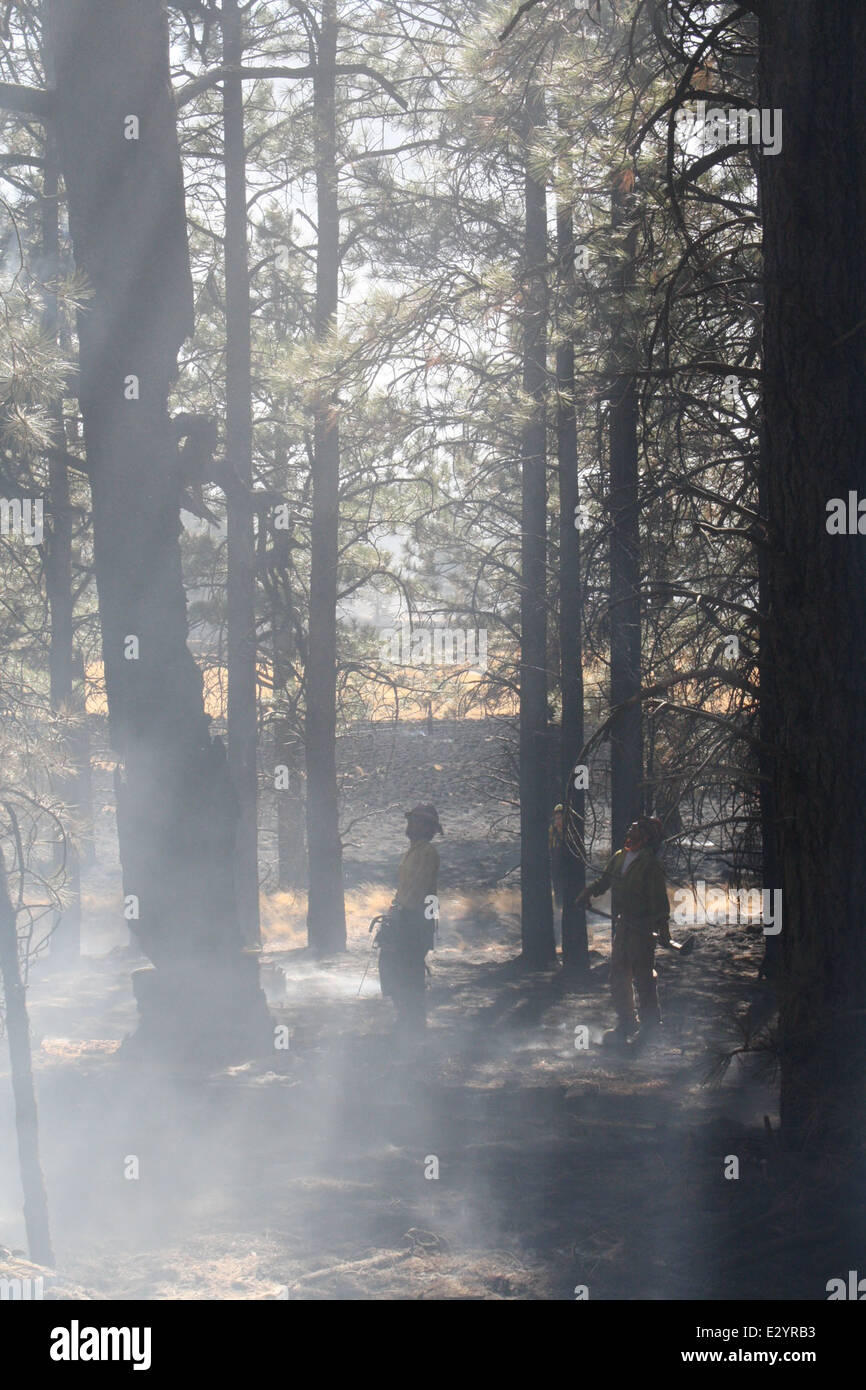 Potatofire hi-res stock photography and images - Alamy