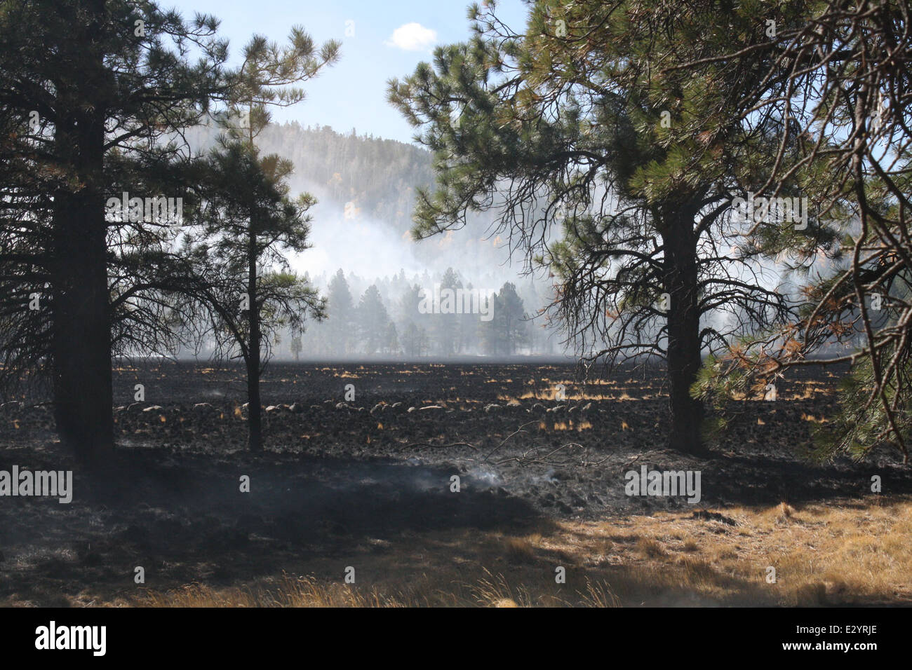 Potatofire hi-res stock photography and images - Alamy