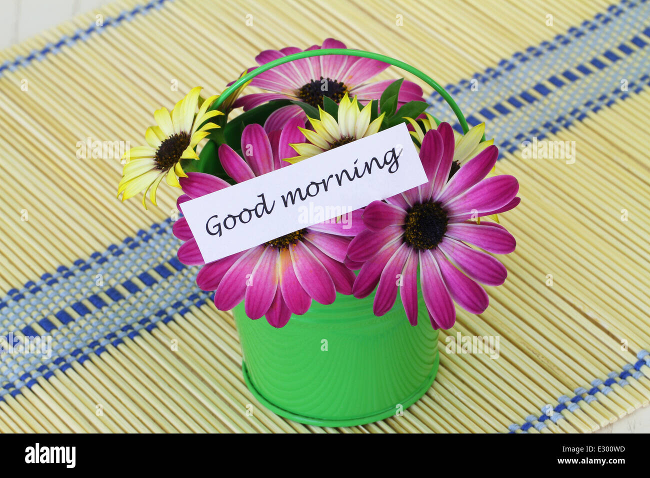 Good morning card with colorful daisies Stock Photo - Alamy