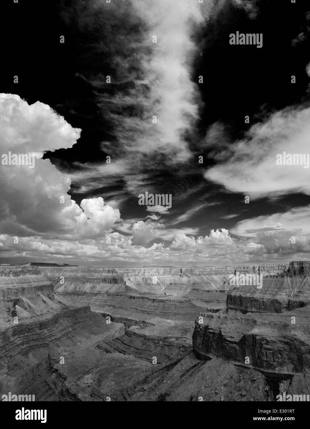 Northkaibabrangerdistrict Black and White Stock Photos & Images - Alamy