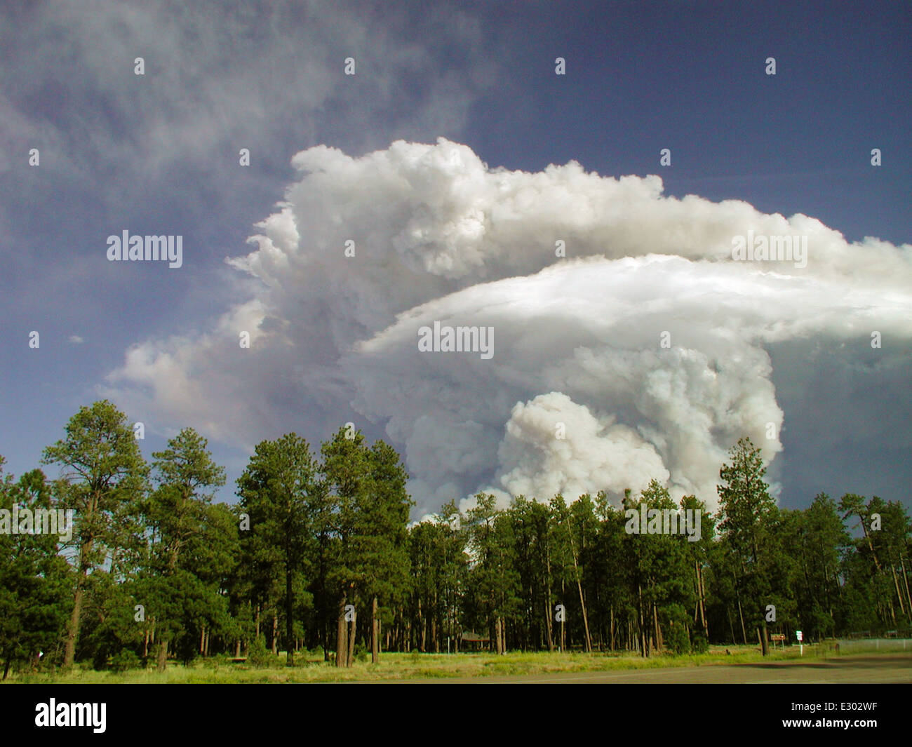 The Warm Fire in 2006, located in Kaibab National Forest, is shown in ...