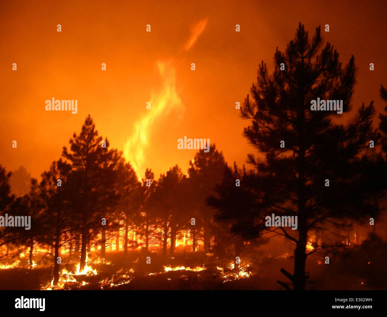 The Warm Fire in the Kaibab National Forest, North Kaibab Ranger ...