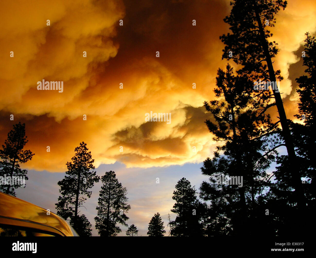 The Warm Smoke Fire in 2006, which occurred in Kaibab National Forest ...