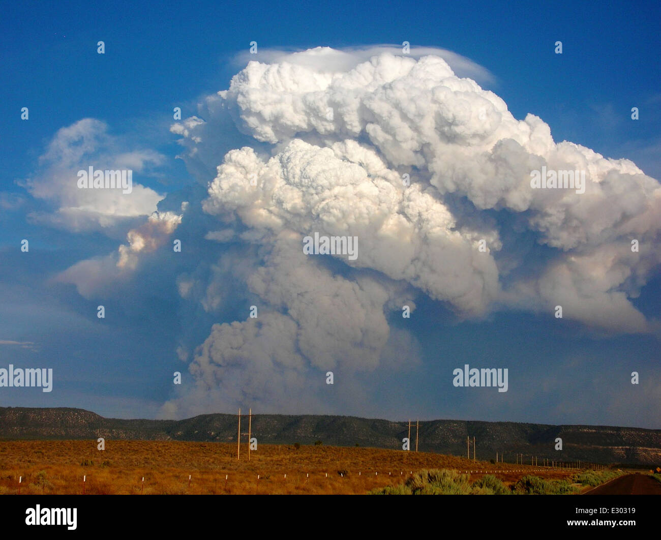Firebehavior hi-res stock photography and images - Alamy
