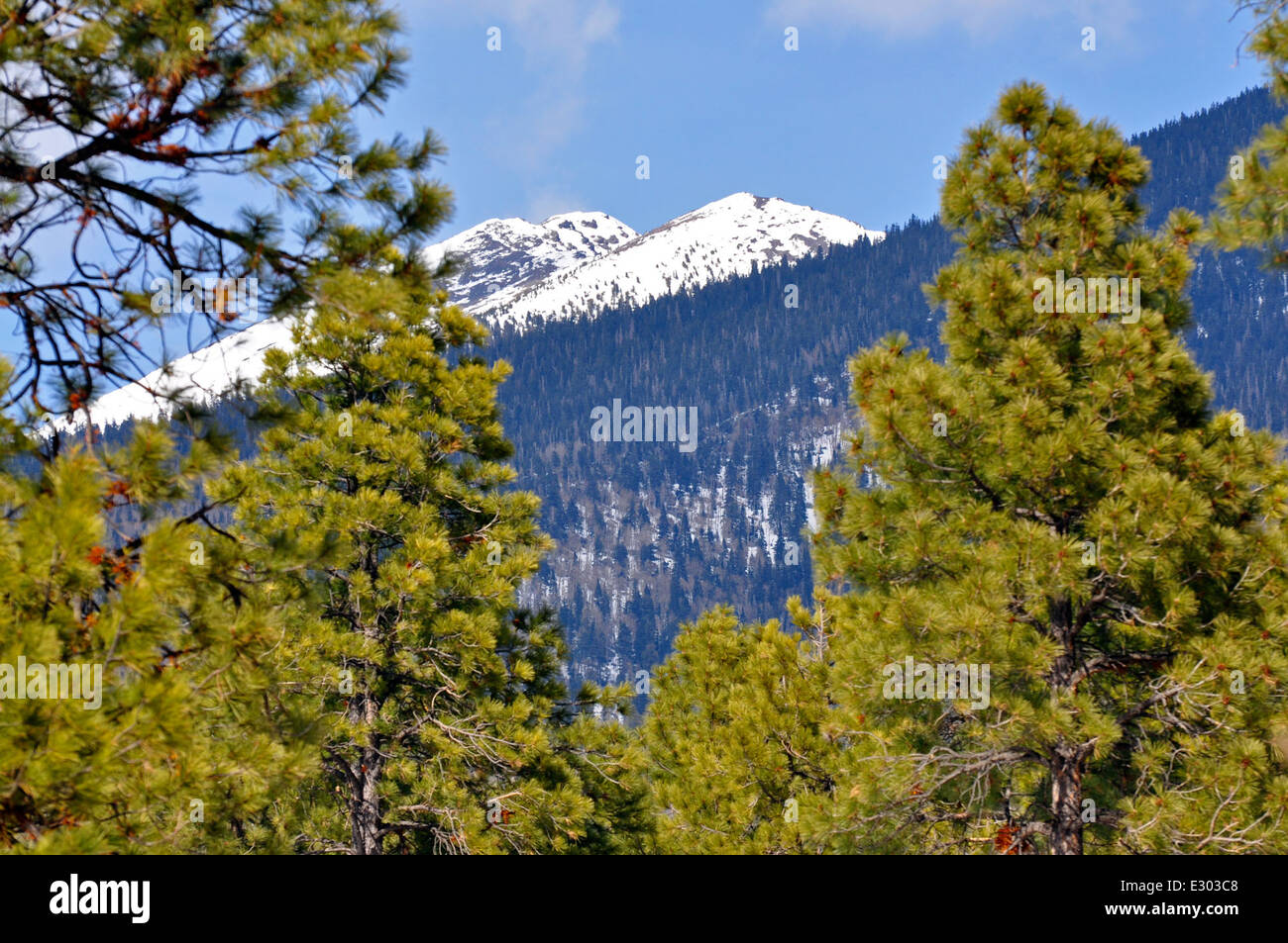 Humphreys Peak, the highest point in Arizona, is located in the ...