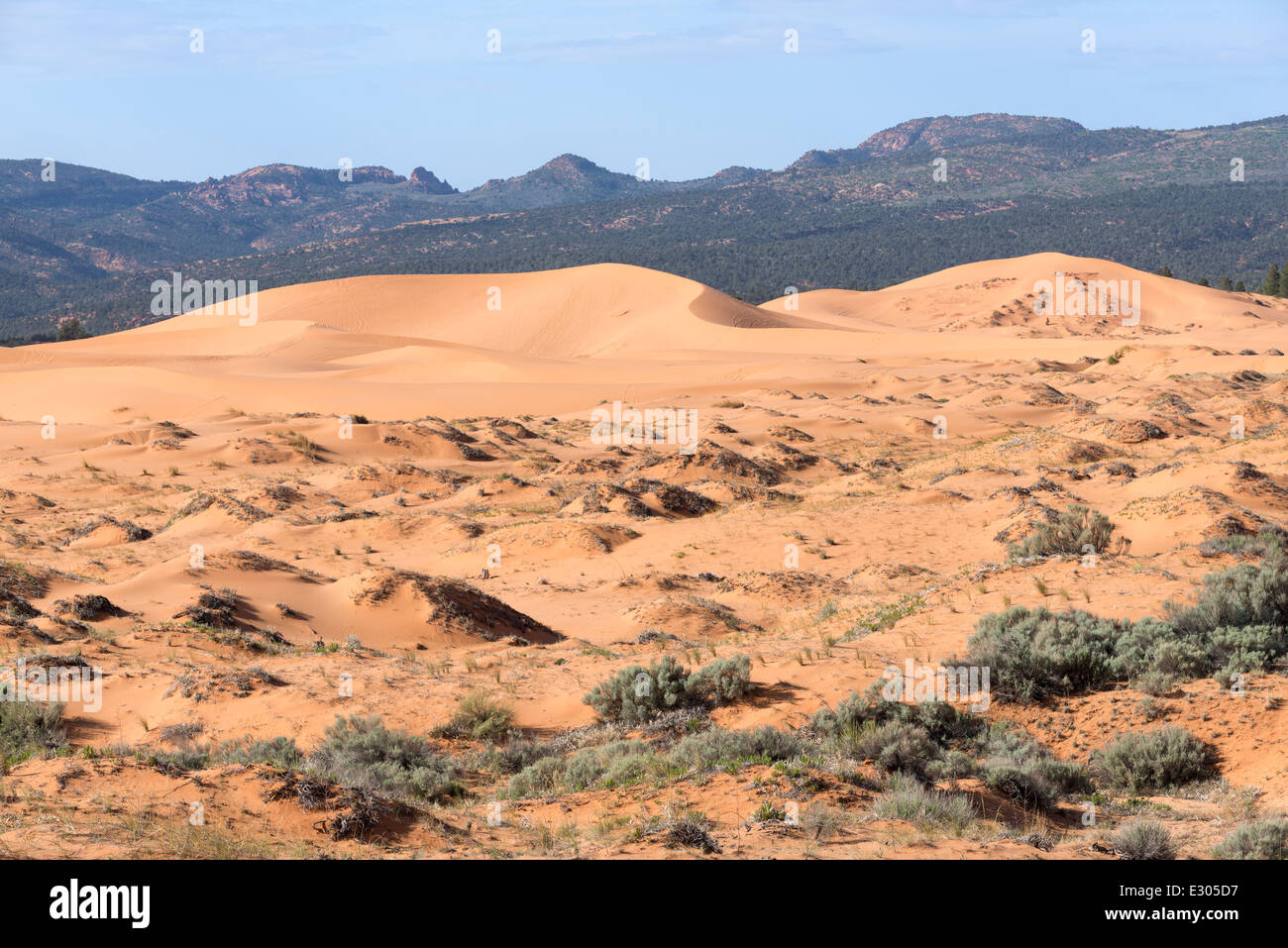 Coral Pink Sand Dunes State Park, Utah Stock Photo - Alamy