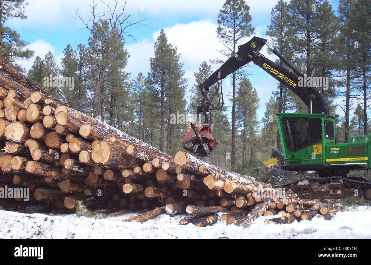 The Horse Pine Stewardship Contract includes sustainable logging ...