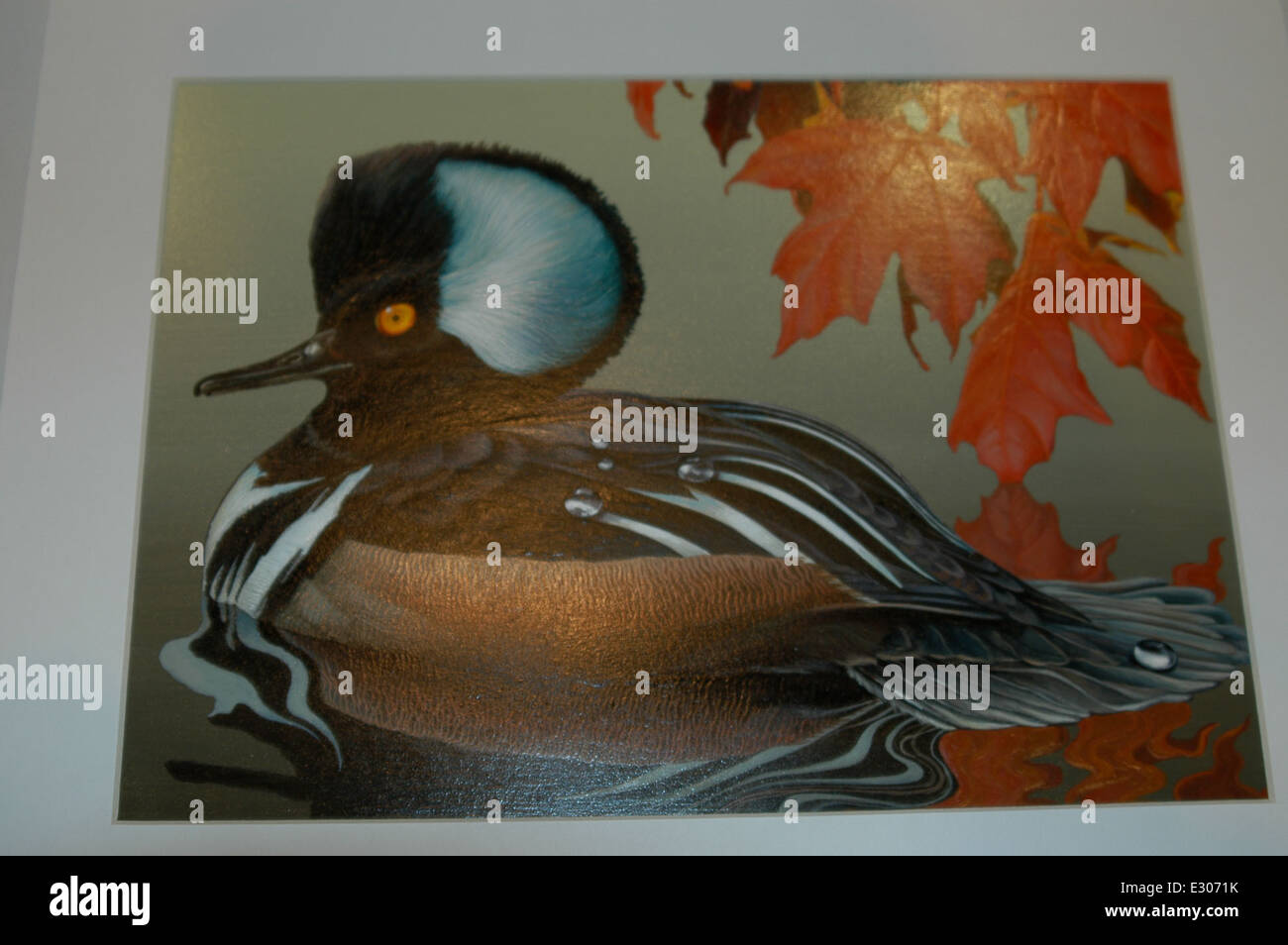 Usfws Stamp High Resolution Stock Photography and Images - Alamy