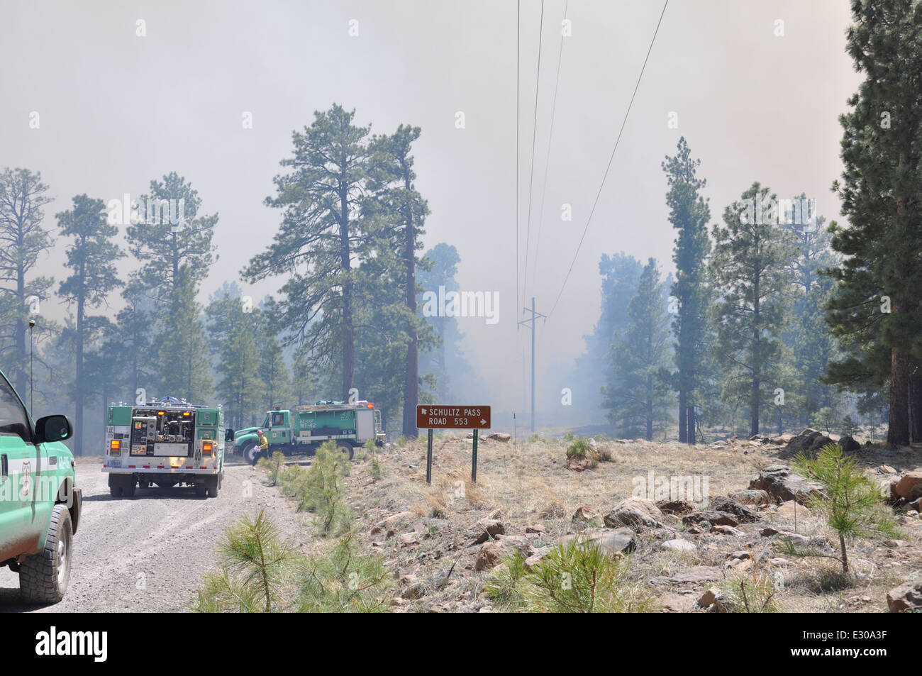 The 89 Mesa Fire, which occurred in the Coconino National Forest in ...