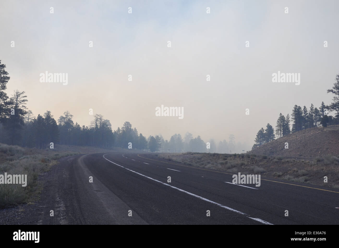 The 89 Mesa Fire, which occurred in Coconino National Forest, was a ...
