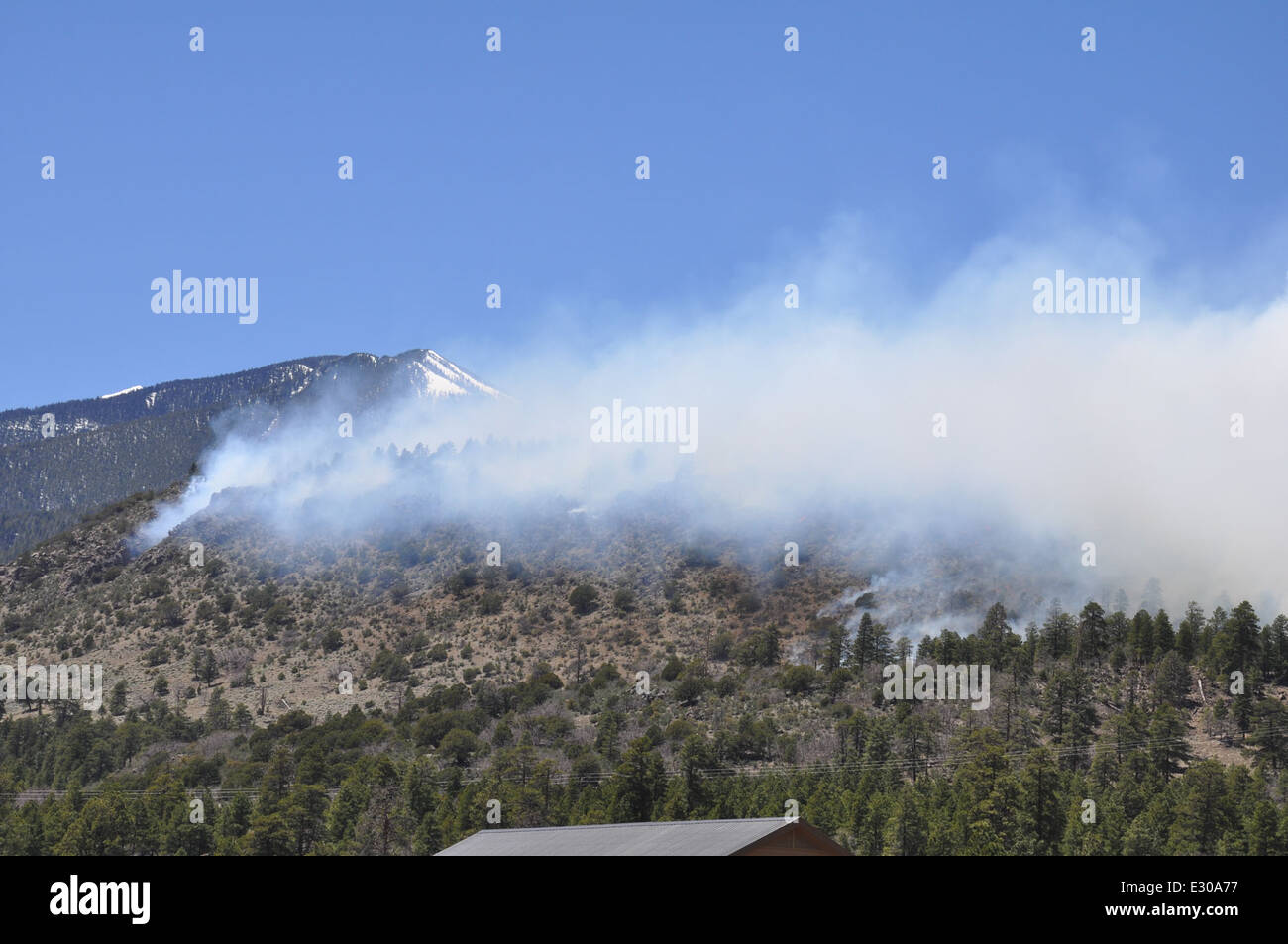 The 89 Mesa Fire, which occurred in May 2010, affected the Coconino ...