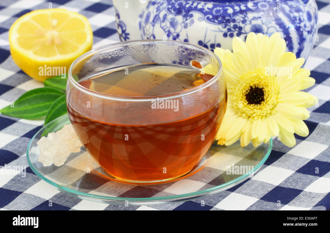 Cup of tea, lemon and cream gerbera daisy Stock Photo - Alamy
