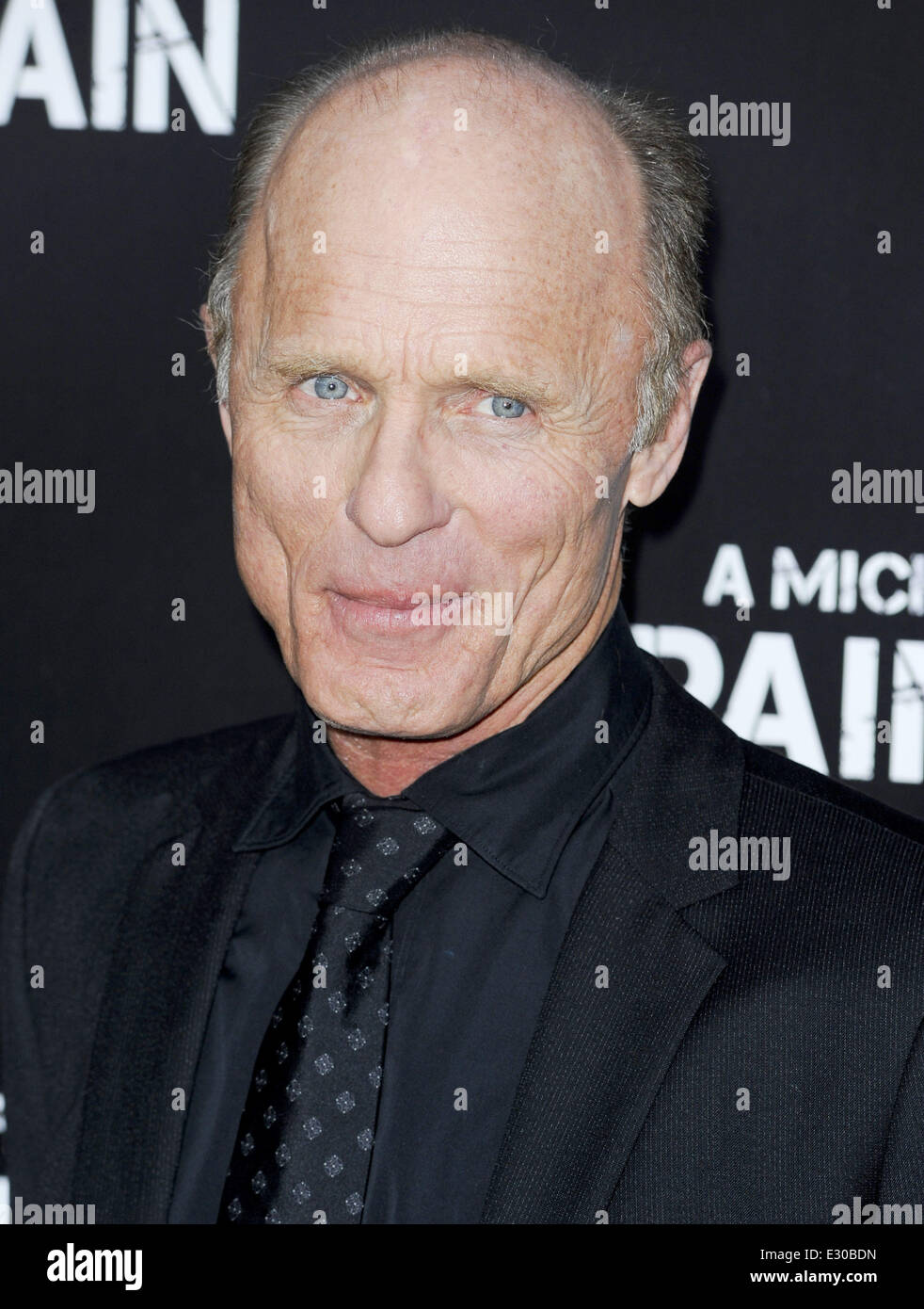 Los Angeles Premiere of 'Pain & Gain' held at TCL Chinese Theatre ...