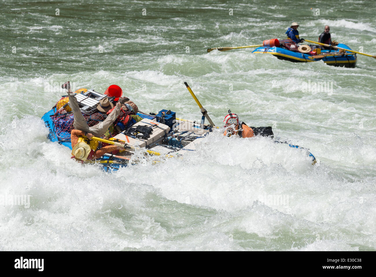 Rower falling out of his raft in Lava Falls on the Colorado River in ...