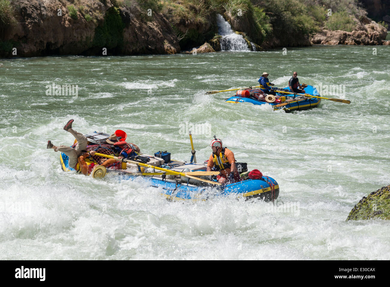 Rower falling out of his raft in Lava Falls on the Colorado River in ...