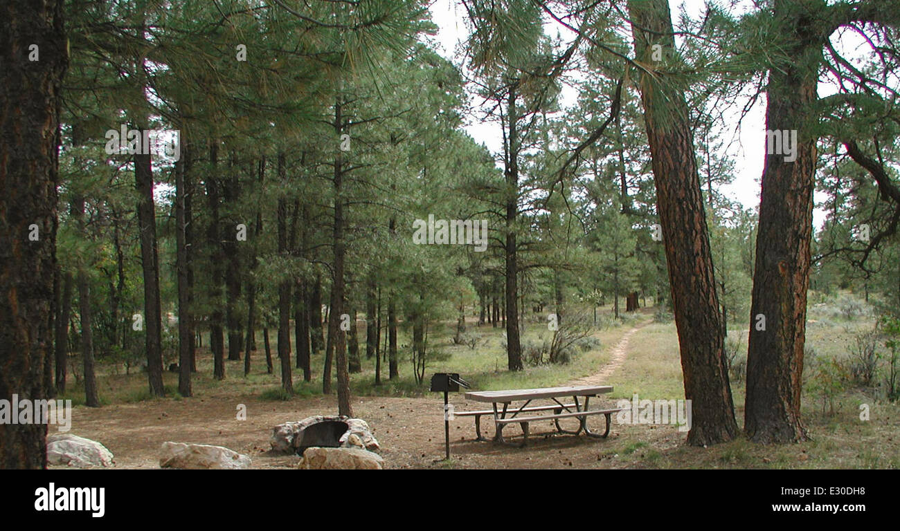 Ten x campground hi-res stock photography and images - Alamy