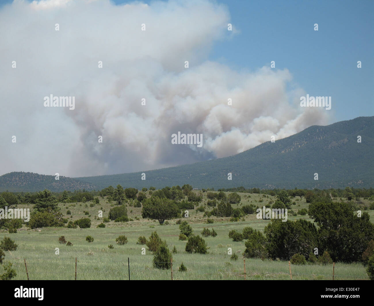 The Eagle Rock Fire of 2010 in the Williams Ranger District of the ...
