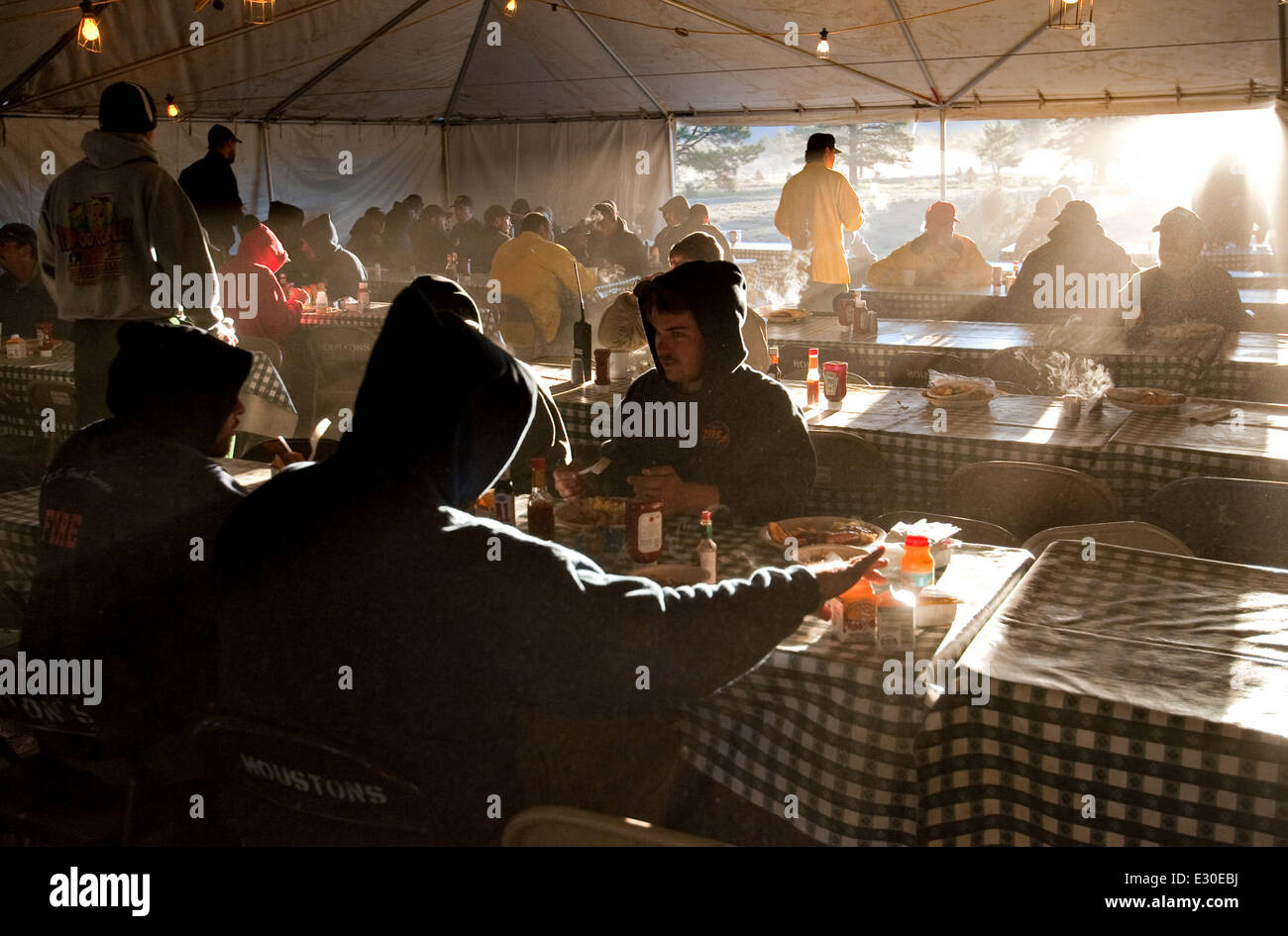 The 2010 Eagle Rock Fire in the Williams Ranger District of Kaibab ...