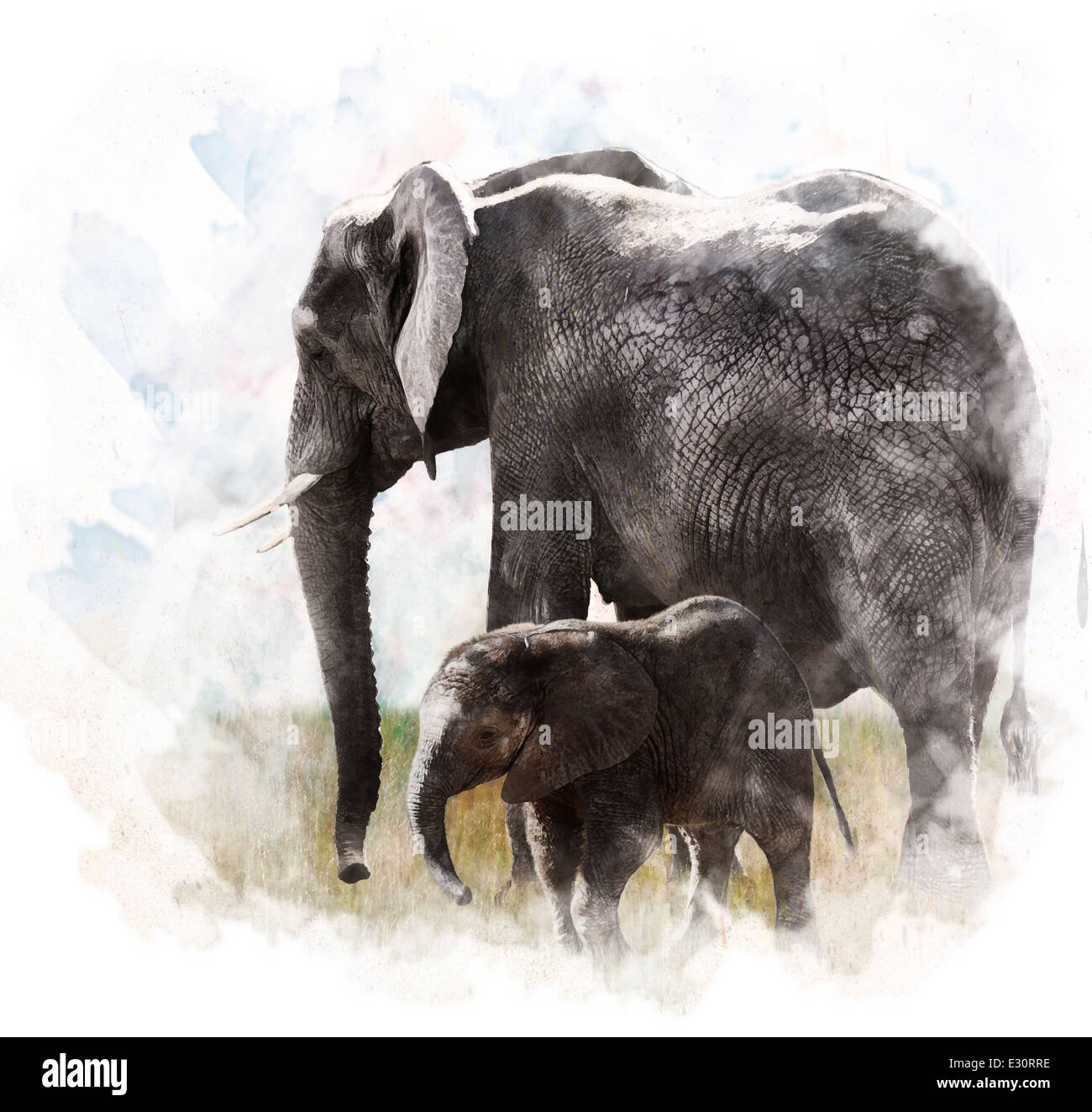 Watercolor Digital Painting Of Elephants Stock Photo - Alamy