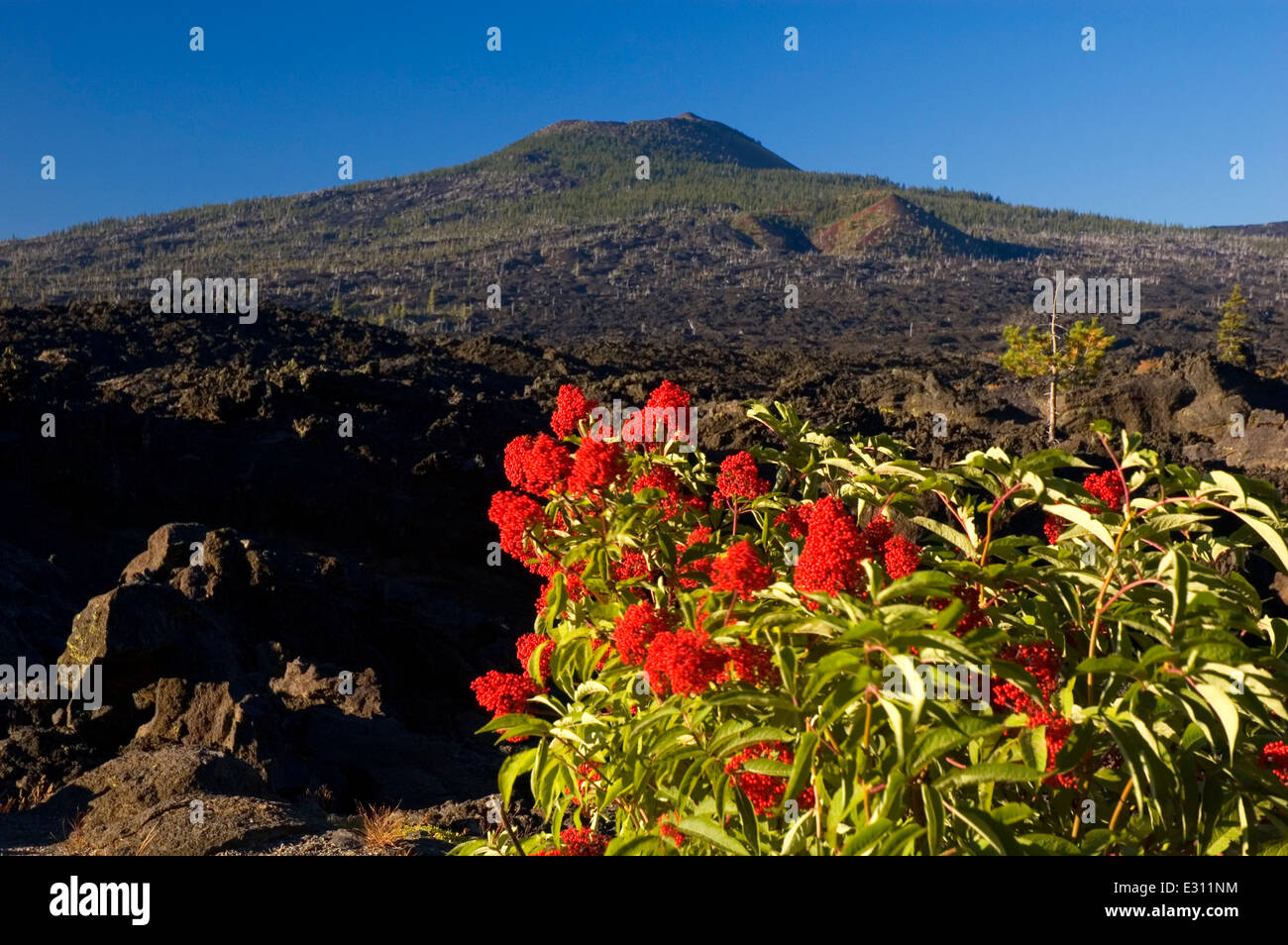 Belknap volcano oregon hi-res stock photography and images - Alamy