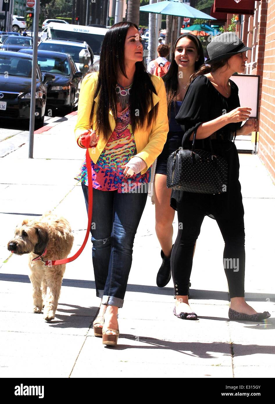 Housewife dog hi-res stock photography and images - Alamy