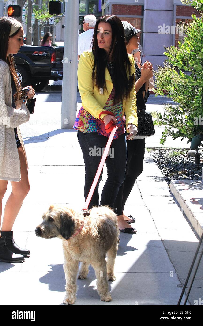 Beverly Hills housewife Kyle Richards walking her pet dog on Brighton ...