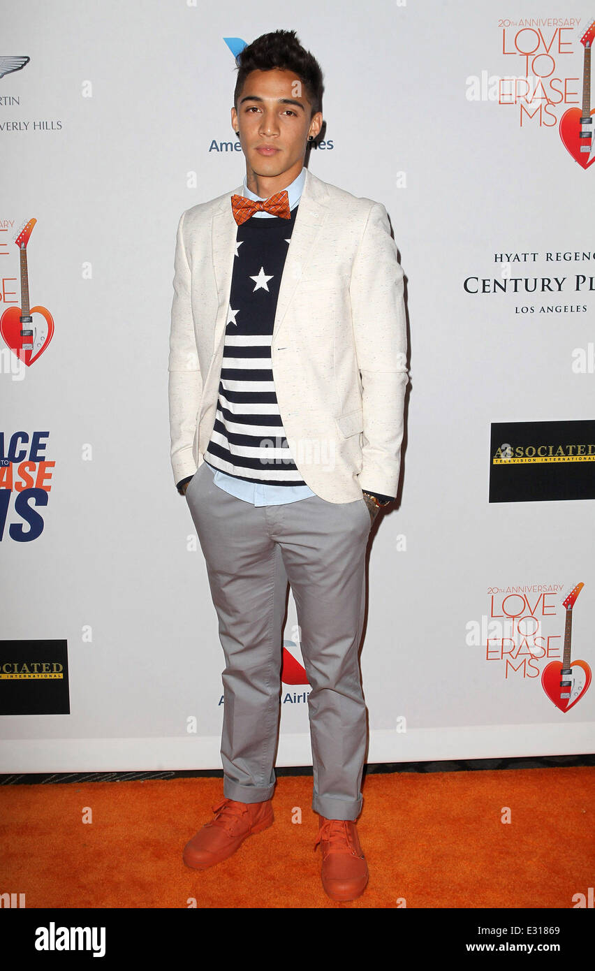 The 20th Annual Race To Erase MS Gala 'Love To Erase MS' at The Hyatt ...