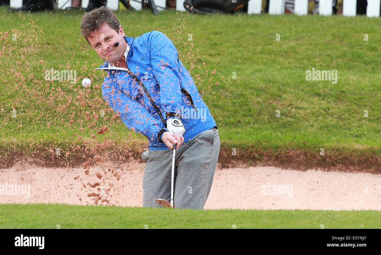 Celebrities compete in the Celebrity Cup Golf Tournament as part of ...