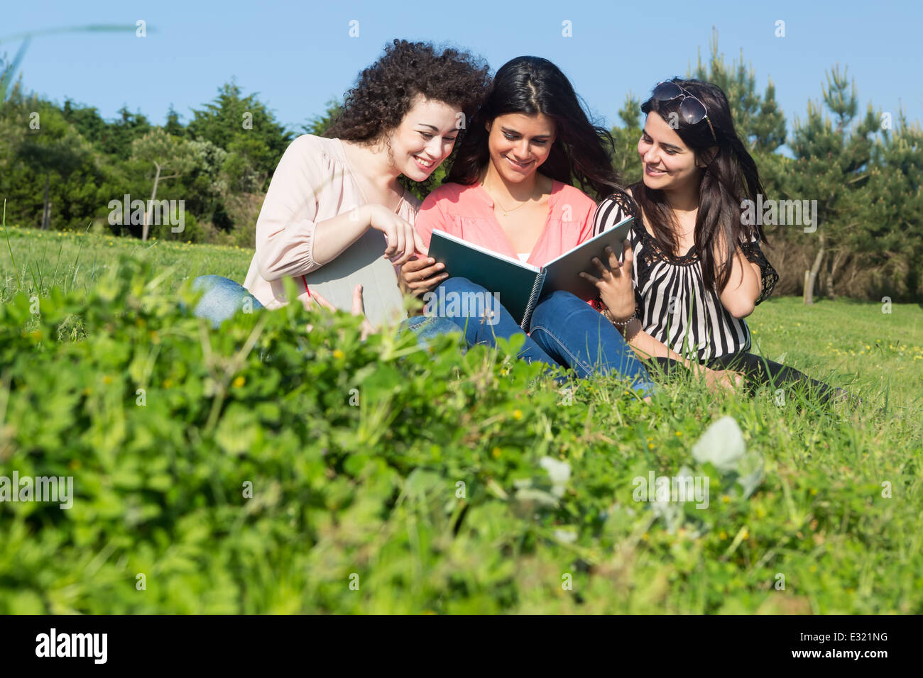 A group of students relaxing at the park Stock Photo - Alamy
