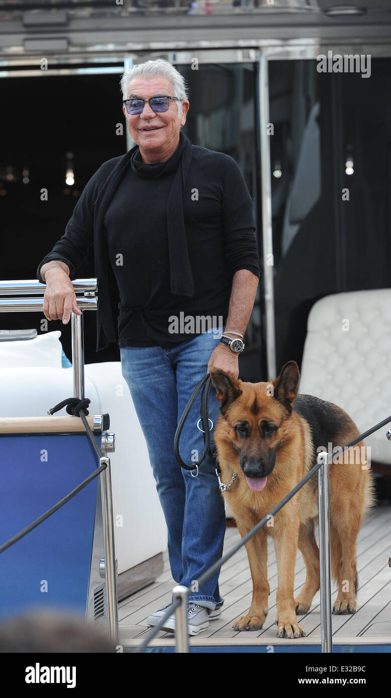 Roberto cavalli and dog hi-res stock photography and images - Alamy