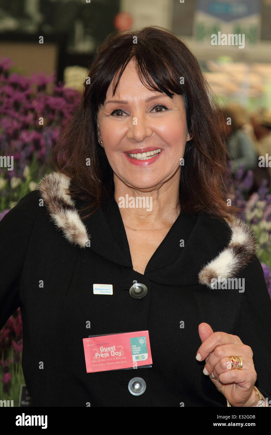 RHS Chelsea Flower Show 2013 - VIP and press preview day Featuring ...