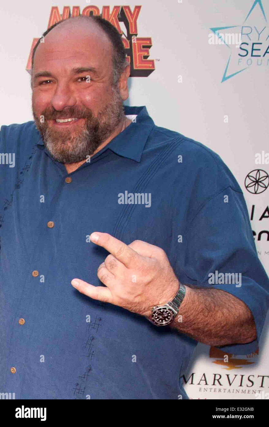 The Los Angeles premiere of 'Nicky Deuce' - Arrivals Featuring: James ...