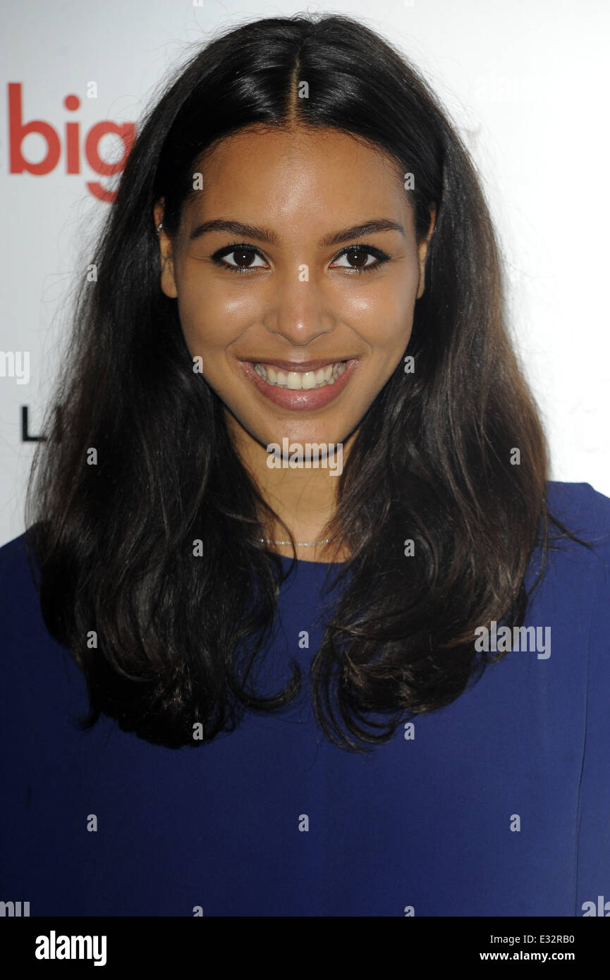 Special preview screening of 'The Big Wedding' held at The Mayfair ...