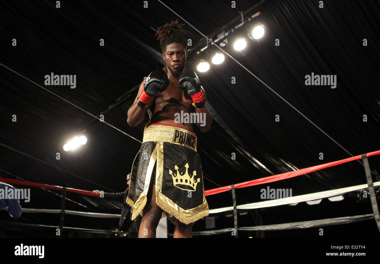 'Big Fighters, Big Cause' Annual Gala Charity Fight Night - Arrivals ...