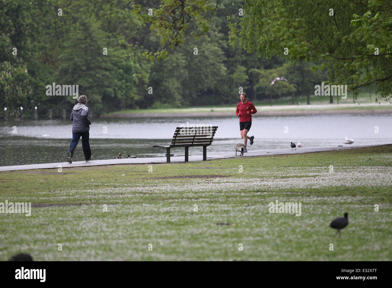 Views of Regent's Park in London during Friday's extremely wet weather ...