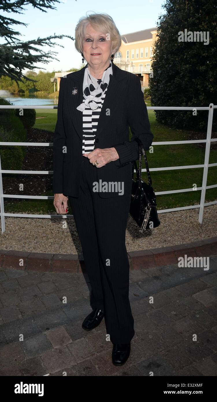 Guests attend Strictly For Soccer at Citywest Hotel Featuring: Rosemary ...