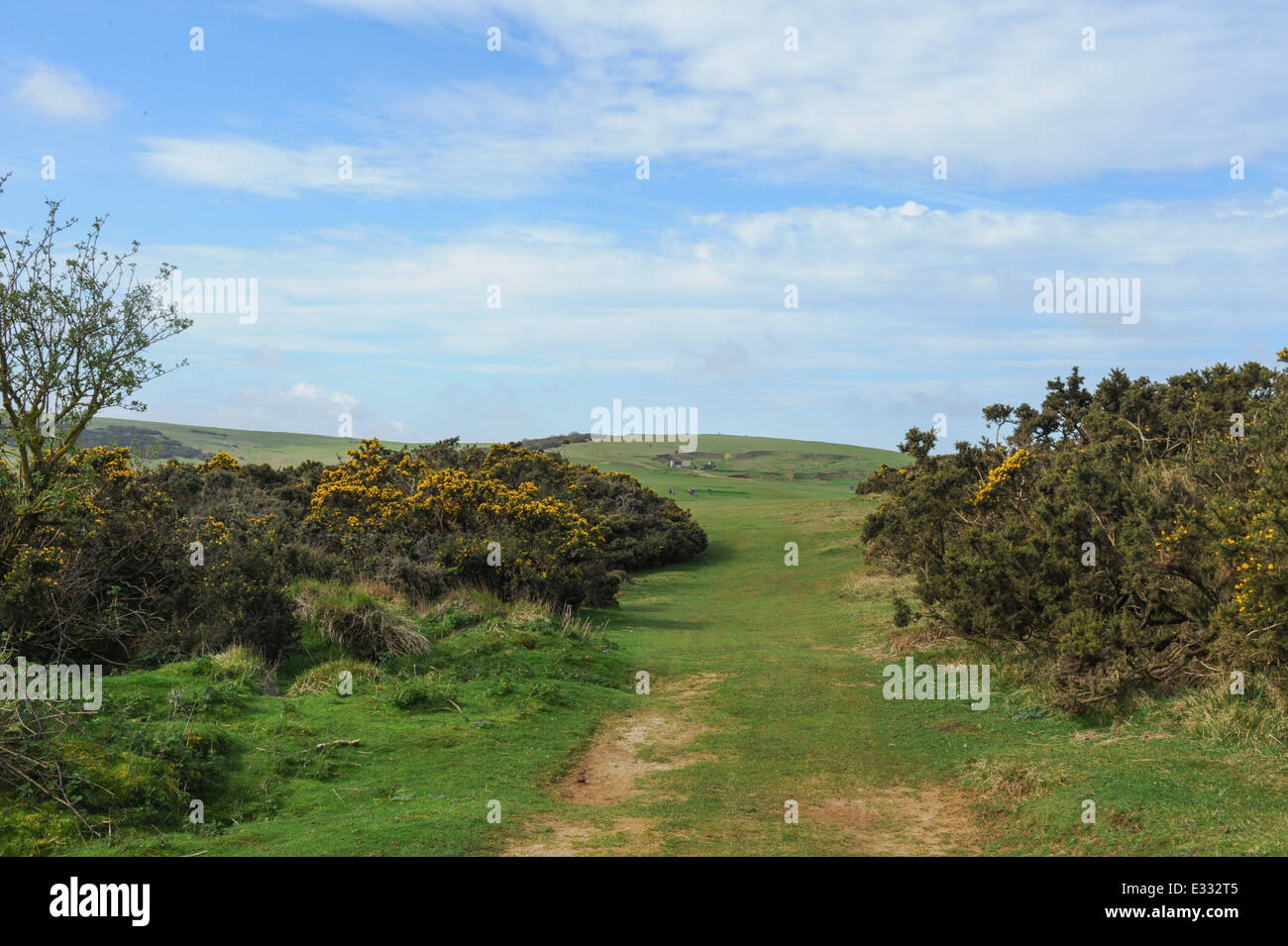 Cleeve Common, the highest point in the Cotswolds, is situated on ...