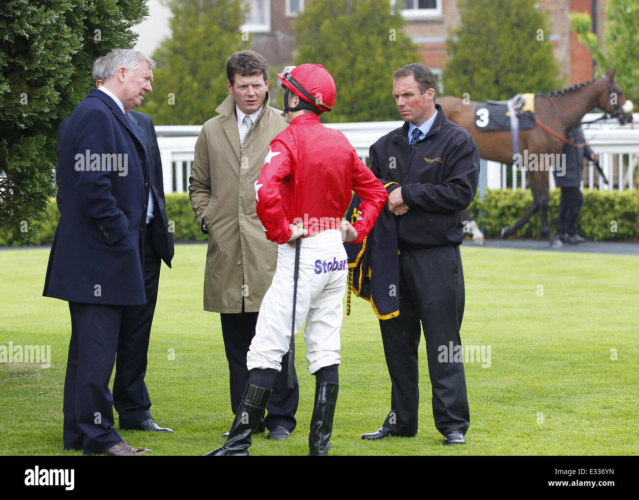 Sir Alex Ferguson watches his horse 'Butterfly McQueen' win at ...