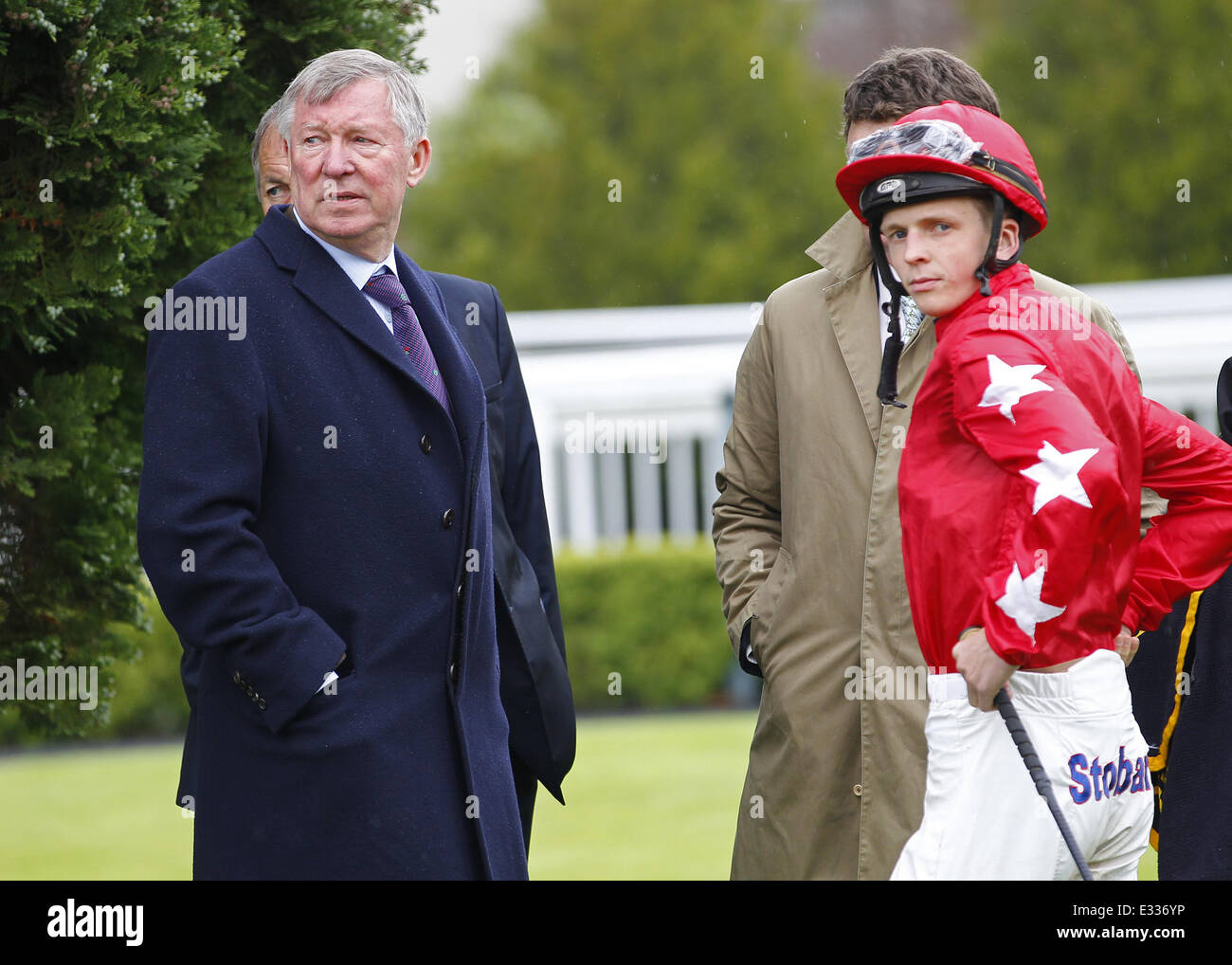 Sir Alex Ferguson watches his horse 'Butterfly McQueen' win at ...
