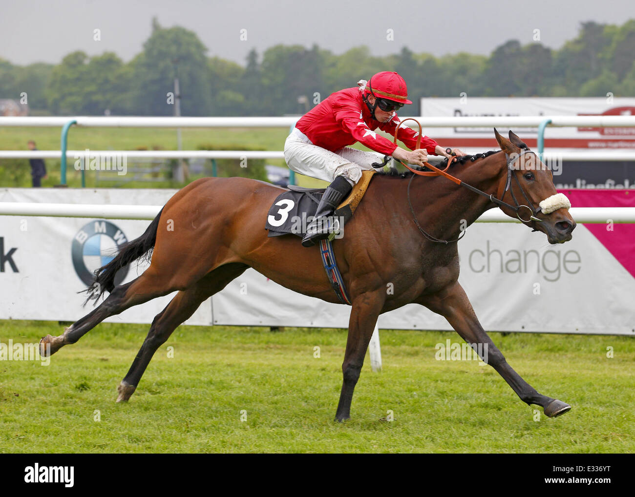Sir Alex Ferguson watches his horse 'Butterfly McQueen' win at ...