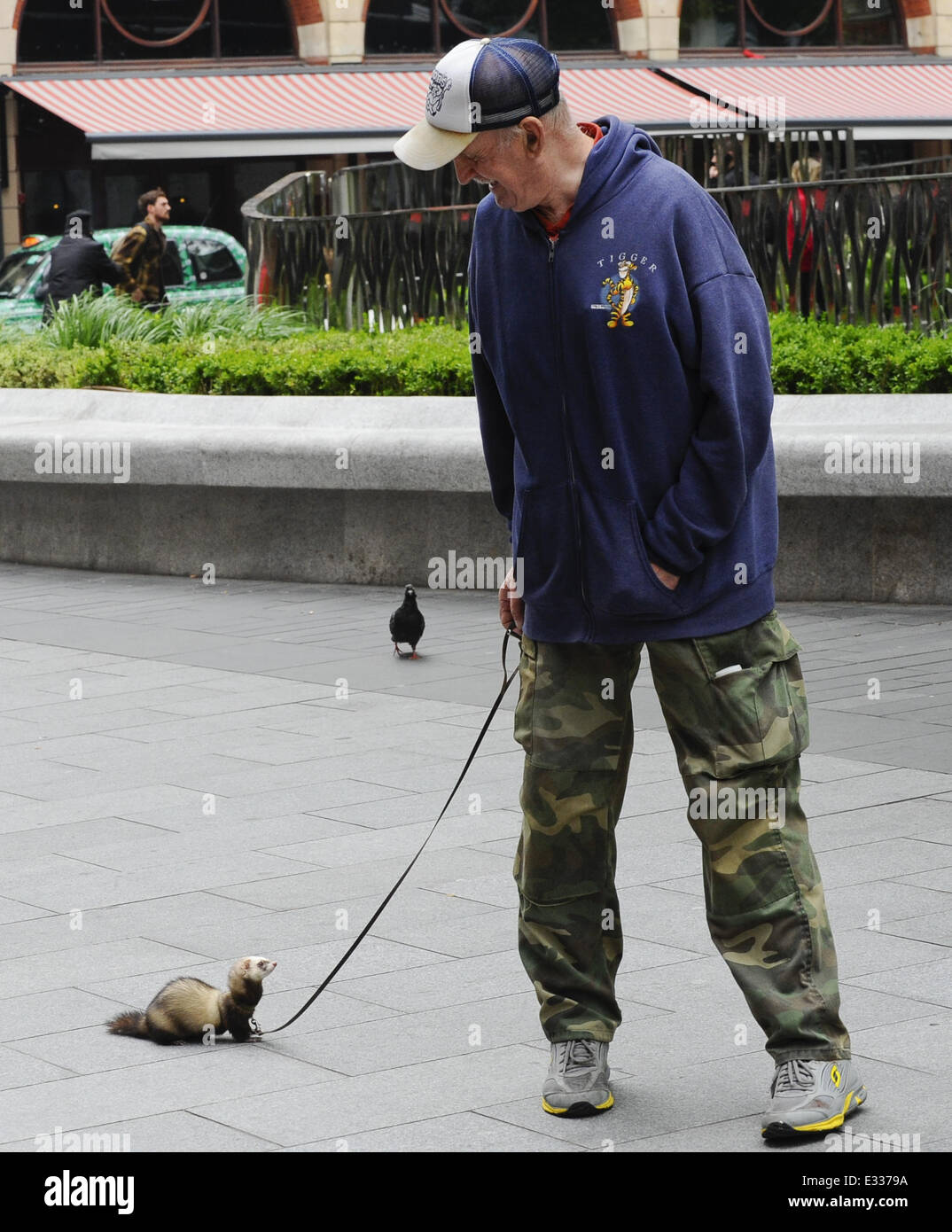 A man seen walking his Ferret on a leash in Leicester Square Featuring ...