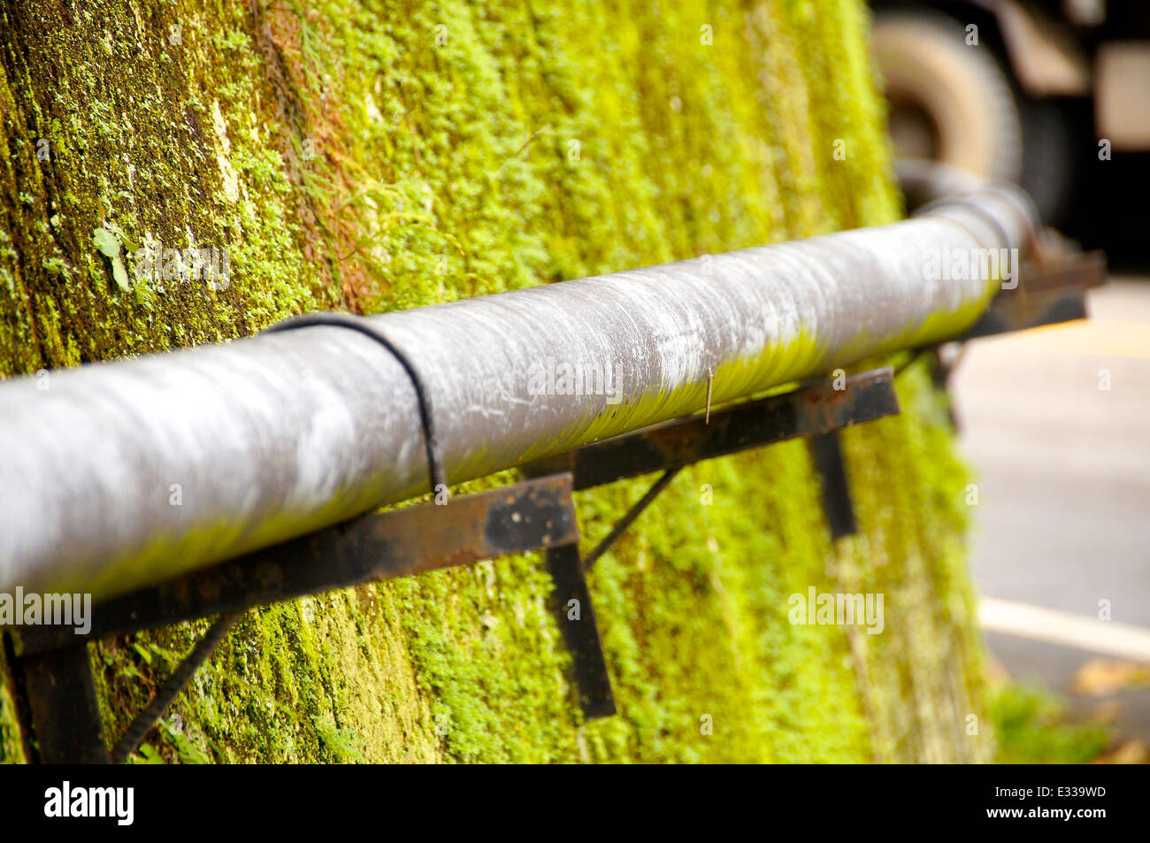 The paved road with moss in mountain Stock Photo - Alamy