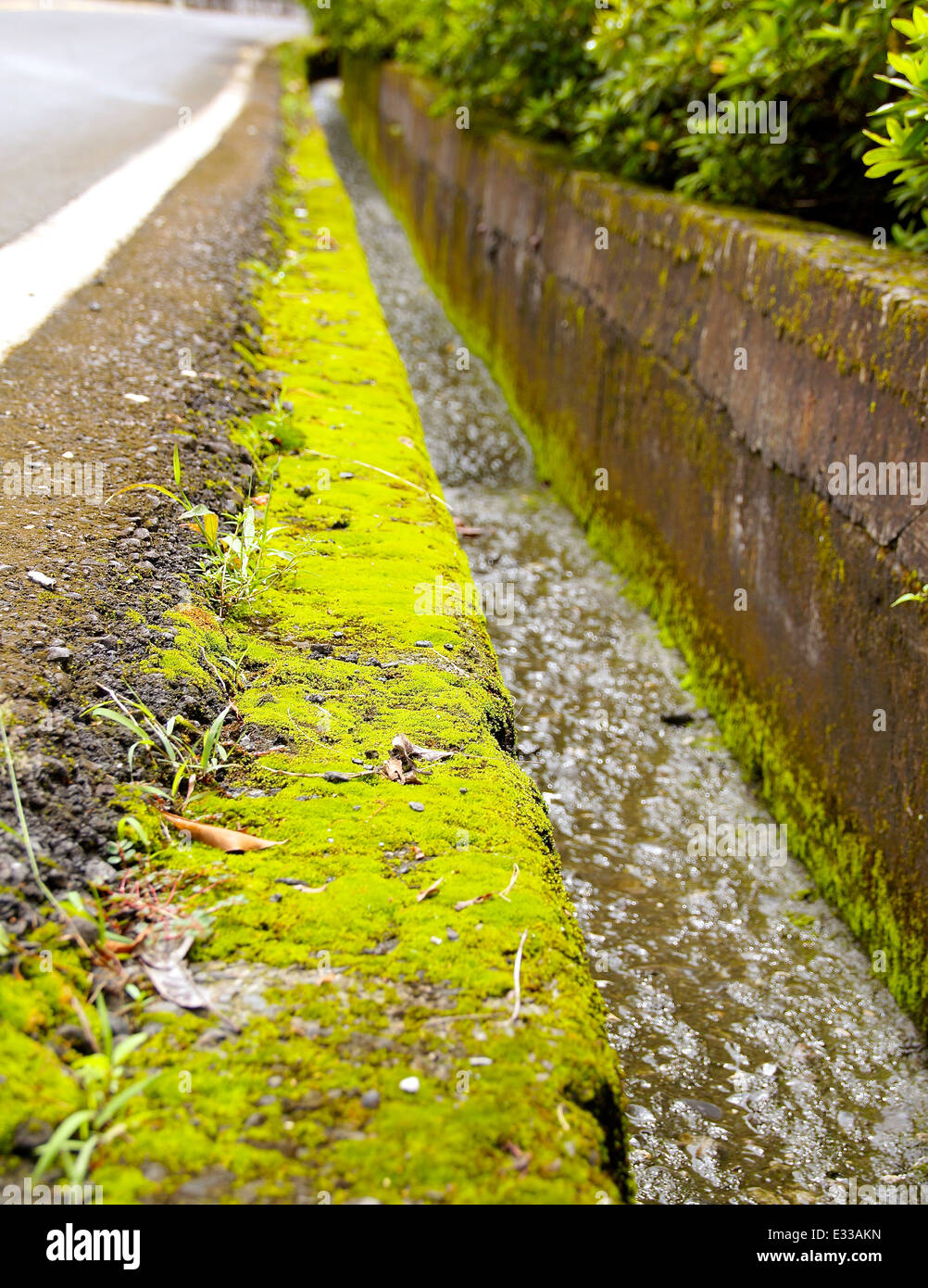 The paved road with moss in mountain Stock Photo - Alamy