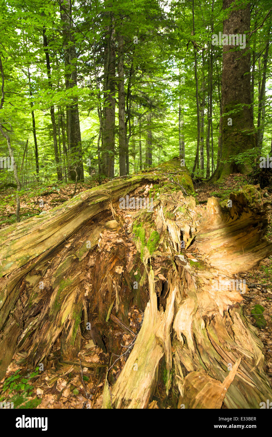 Industry ecosystem hi-res stock photography and images - Alamy